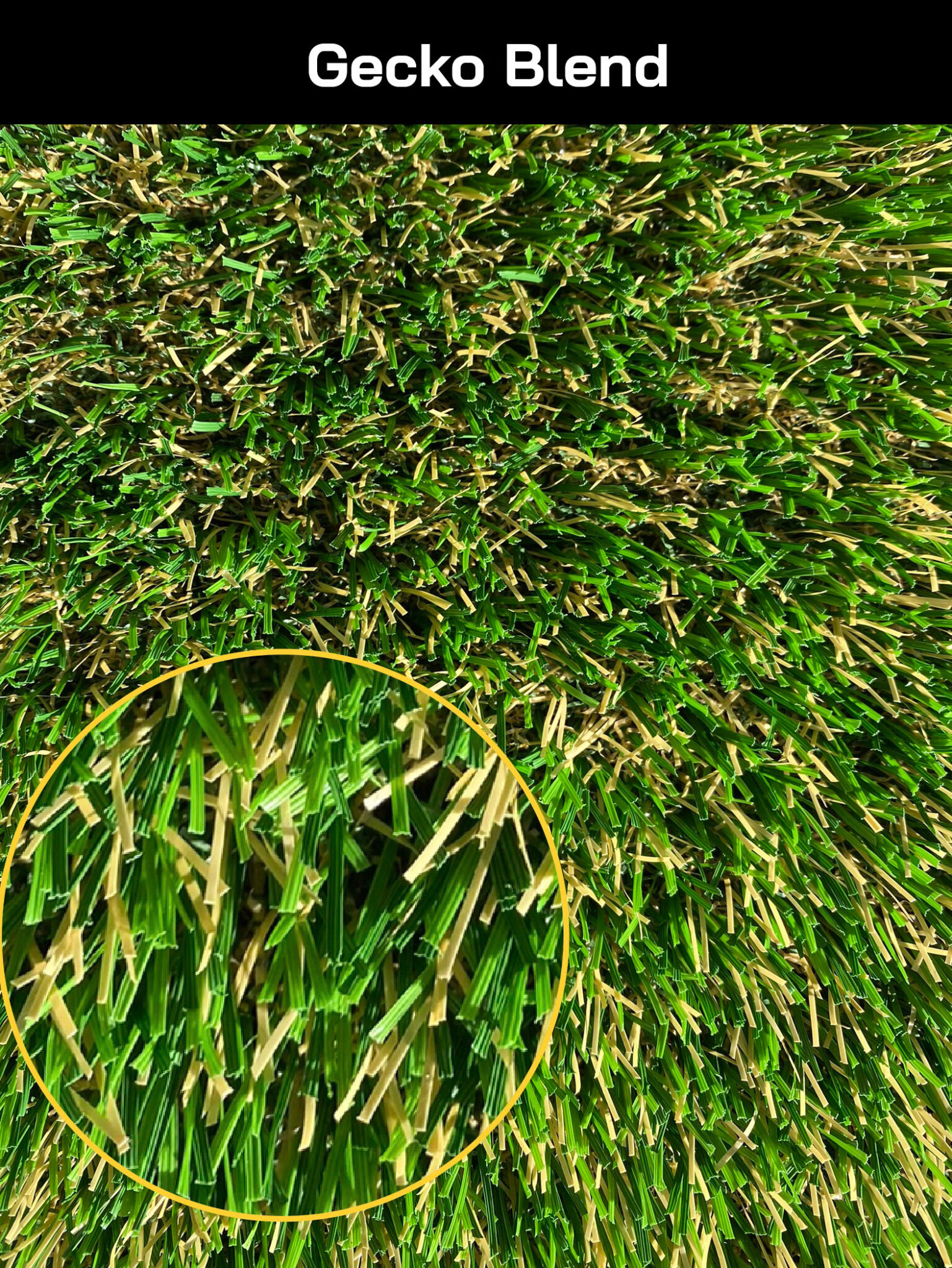 Smart Grass Blends - Fescue, Natural, Gecko, Kodiak, Malibu, Manchester ...